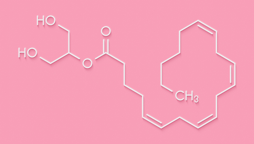 Target Endocannabinoids to Treat Chronic Conditions | Cannabis Sciences