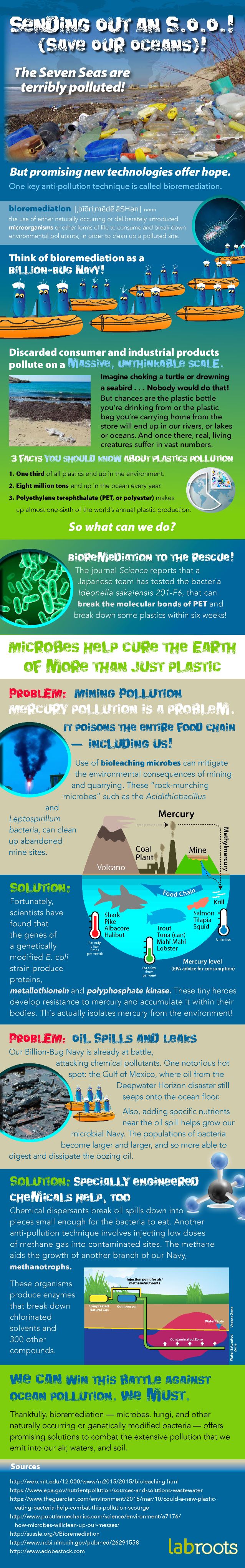 Bioremediation: the tool to combat our pollutants | Infographics