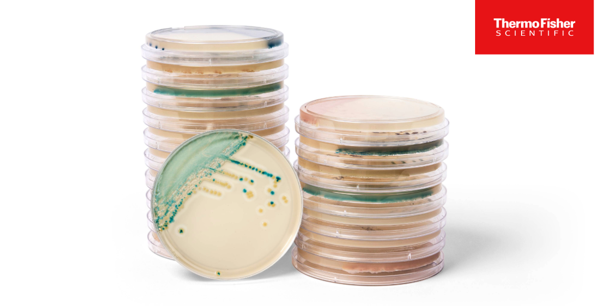 Introducing Innovative Chromogenic Media for Candida spp. | Microbiology