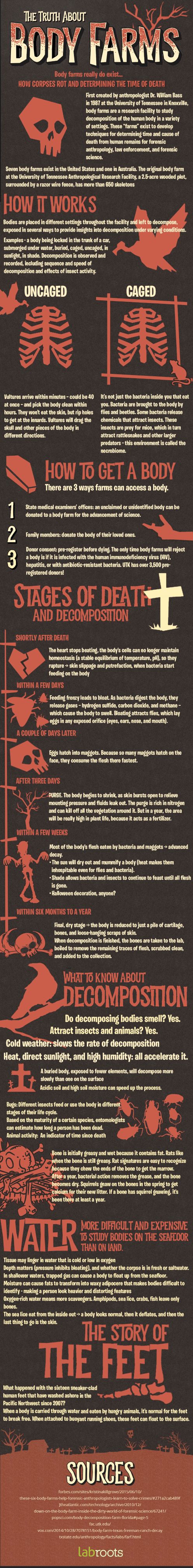 The Truth About Body Farms | Infographics