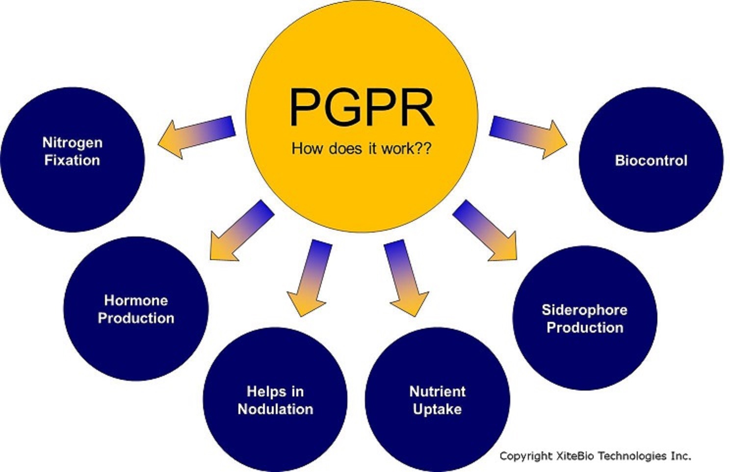 An Emerging Field of Study: Human Pathogens on P | Plants And Animals