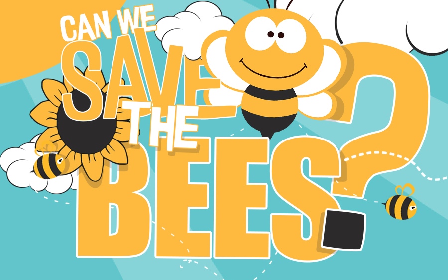 Can We Save the Bees? | Infographics