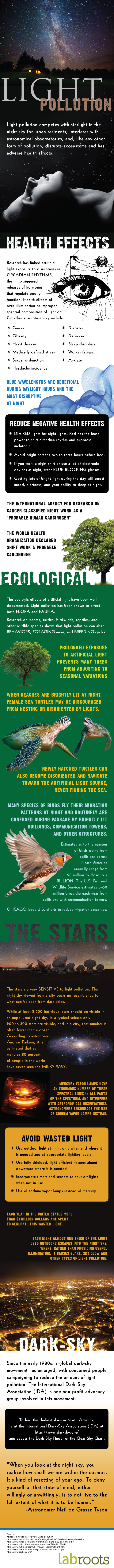 Turn Off the Lights! | Infographics