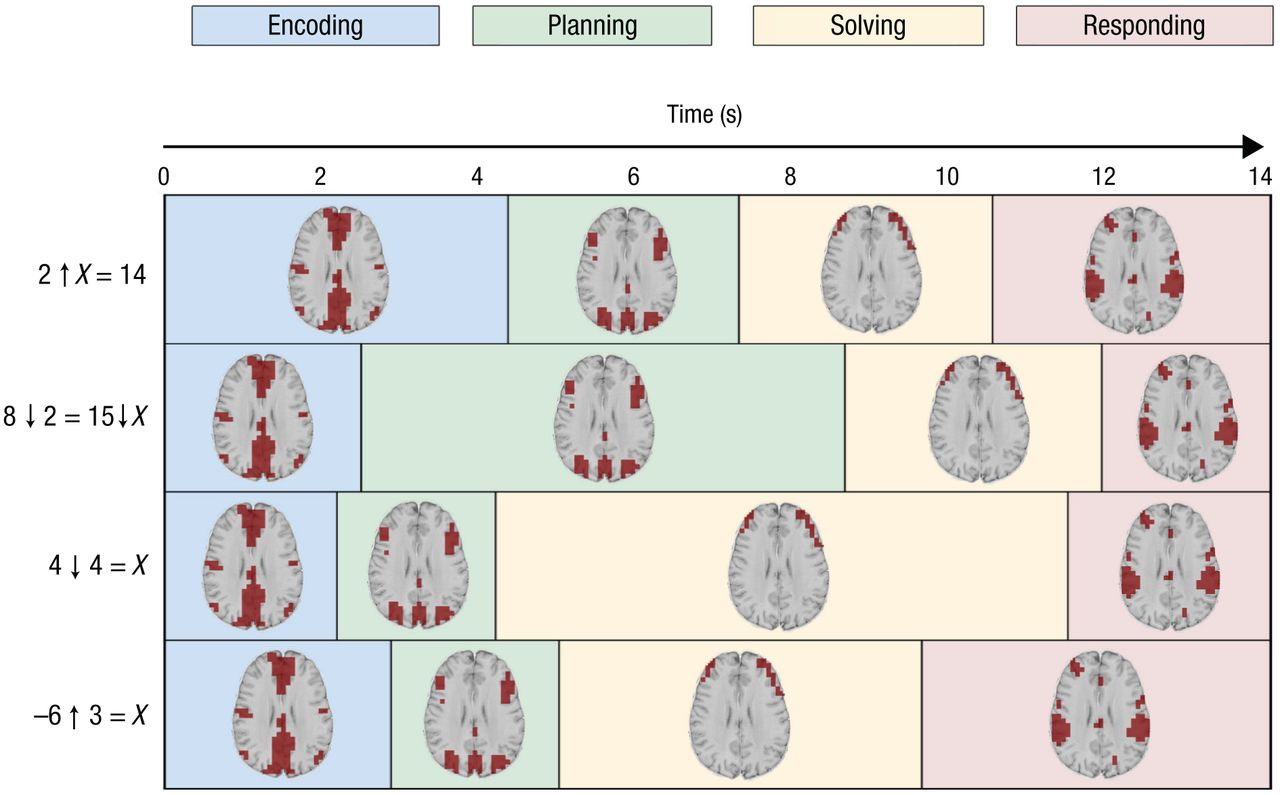 Visualizing Problem-Solving in the Brain | Neuroscience