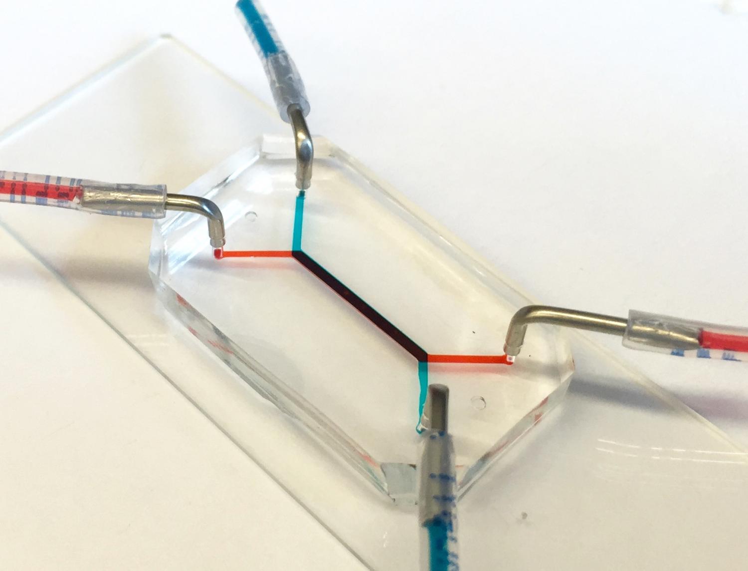 Scientists Create Placenta-on-a-Chip to Study Preterm Birth | Clinical ...