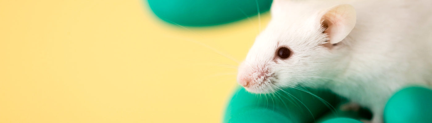 Vaccine keeps mice from getting UTIs | Immunology