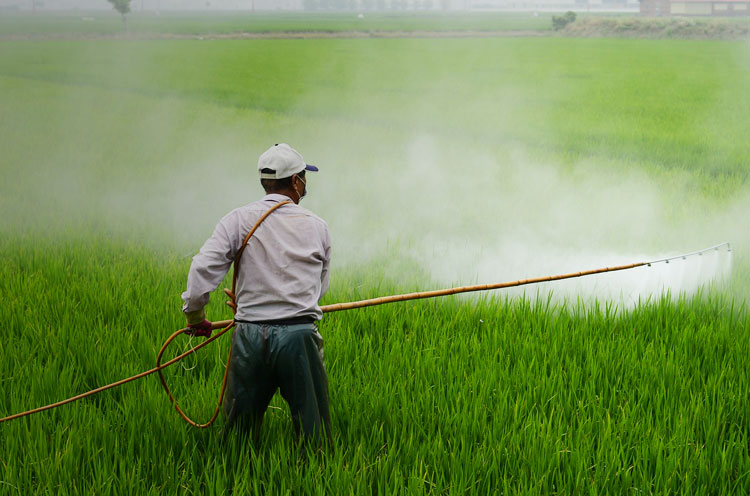 Monsanto's mistake: dicamba | Earth And The Environment