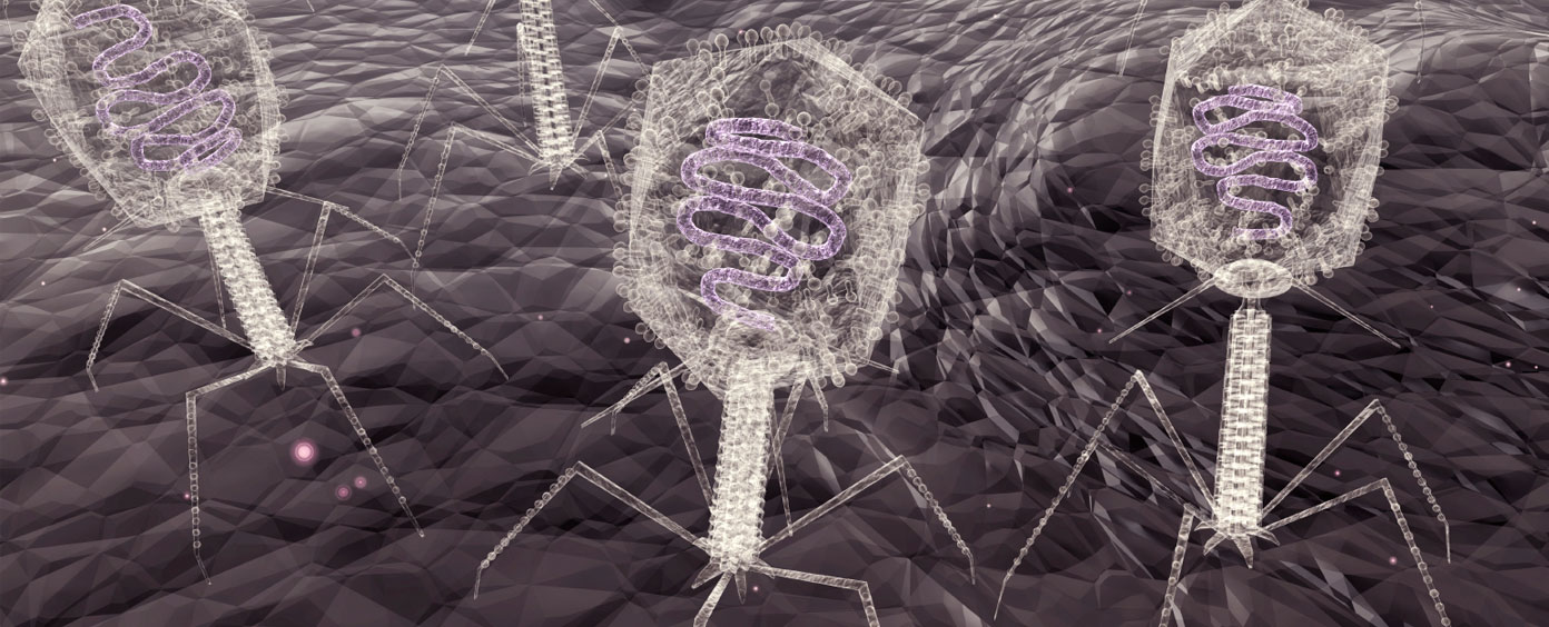 Liposome capsules improve phage therapy | Microbiology