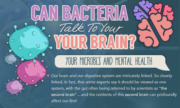 Can Bacteria Talk to Your Brain? | Infographics