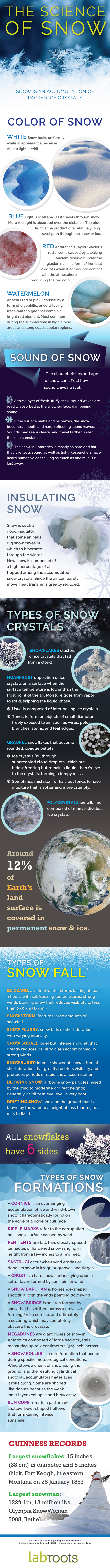 Science of Snow | Earth And The Environment