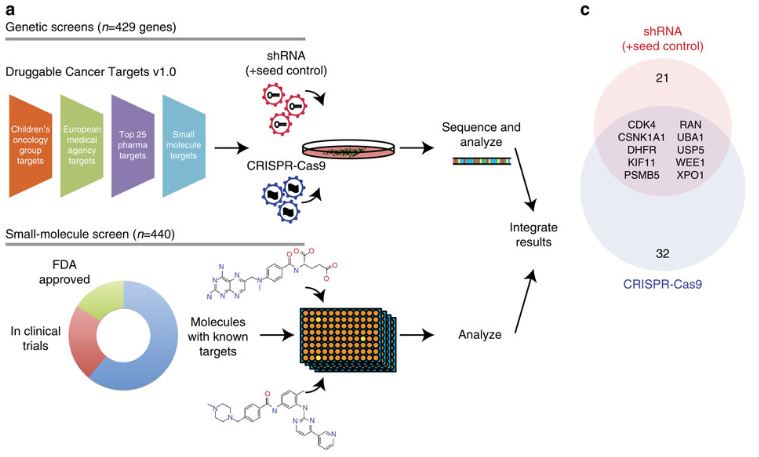 An Integrated Approach to Find Drug Targets in Rare Cancers | Cancer